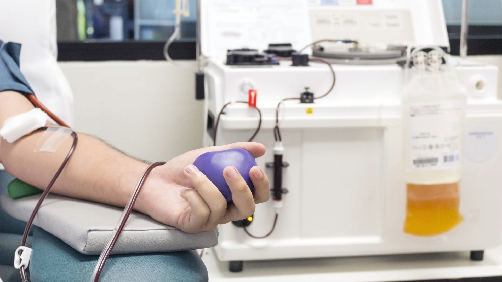 Plasma Donation: A Spotlight on Its Lifesaving Power | GovExperts
