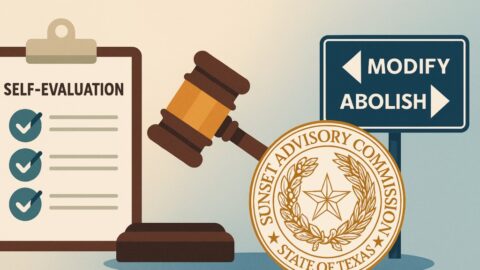 How the Sunset Commission Shapes Agencies' Futures Now | GovExperts